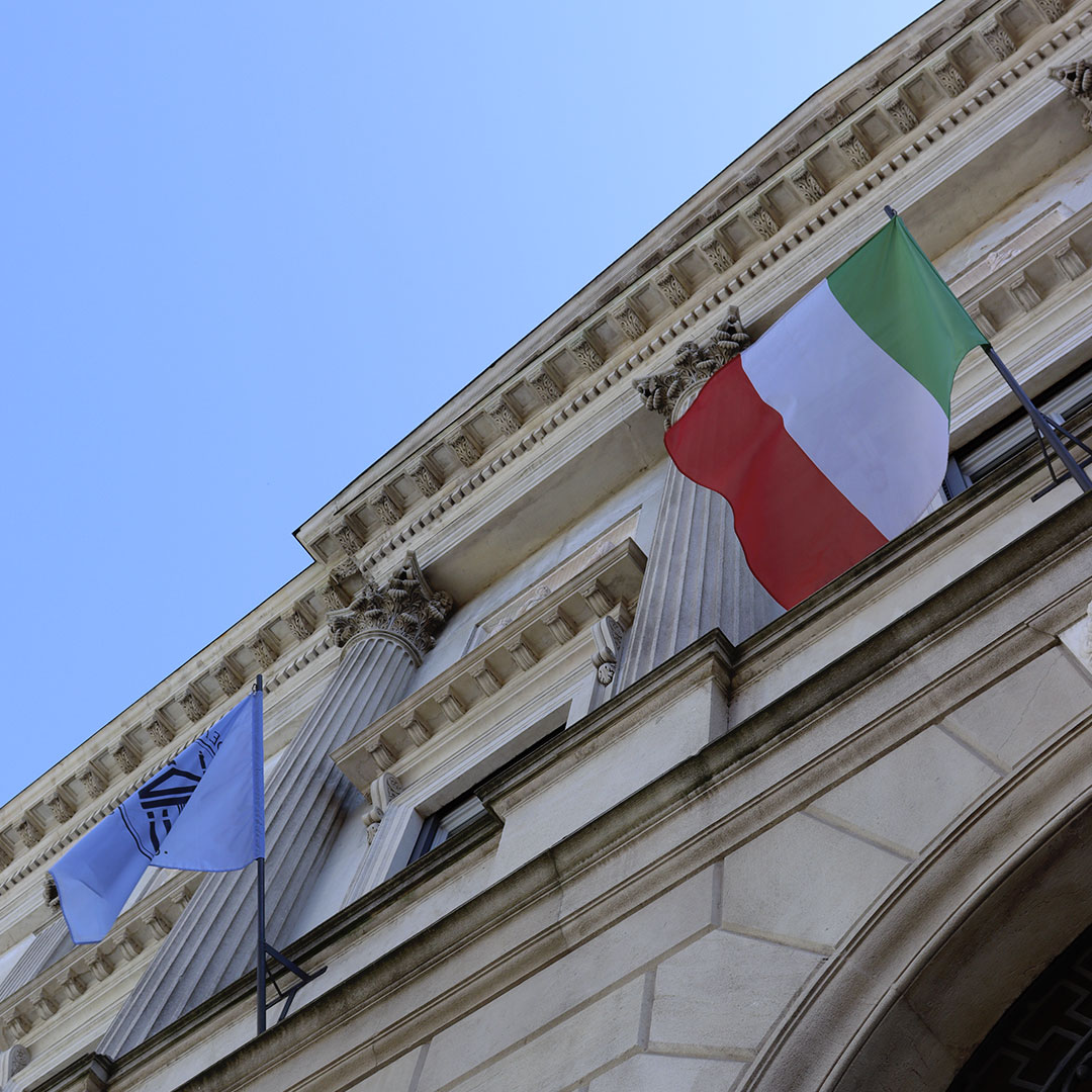 A violin making Career - Violin Making School In Cremona | Academia ...